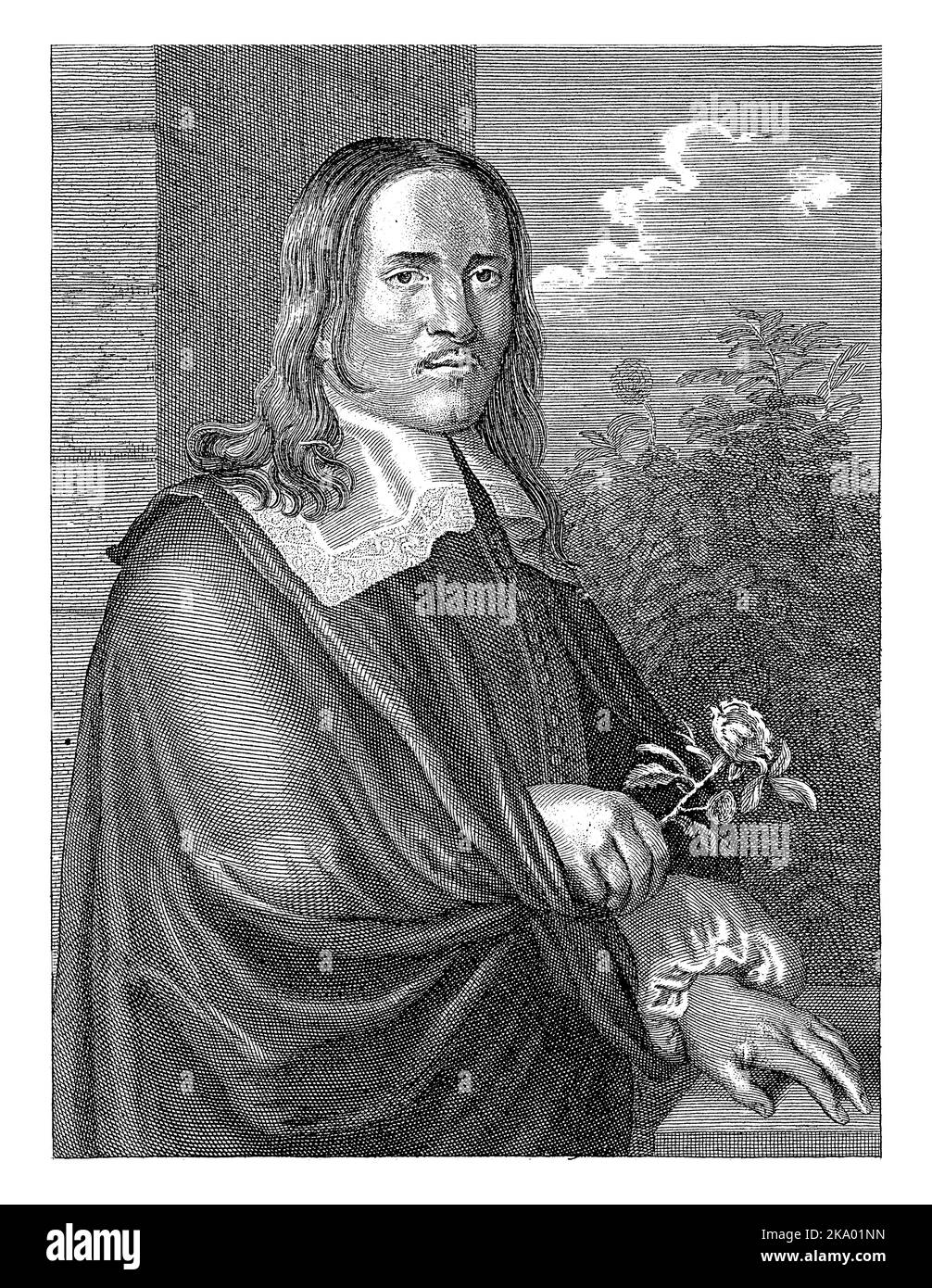 Jan van kessel ii Cut Out Stock Images & Pictures - Alamy
