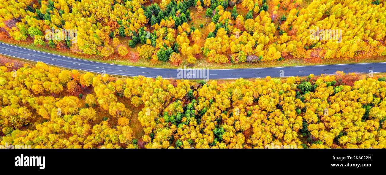 autumn forest road panorama from above Stock Photo - Alamy