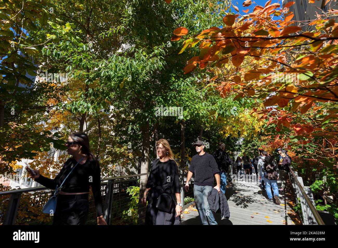 The High Line, Chelsea, Manhattan Stock Photo - Alamy