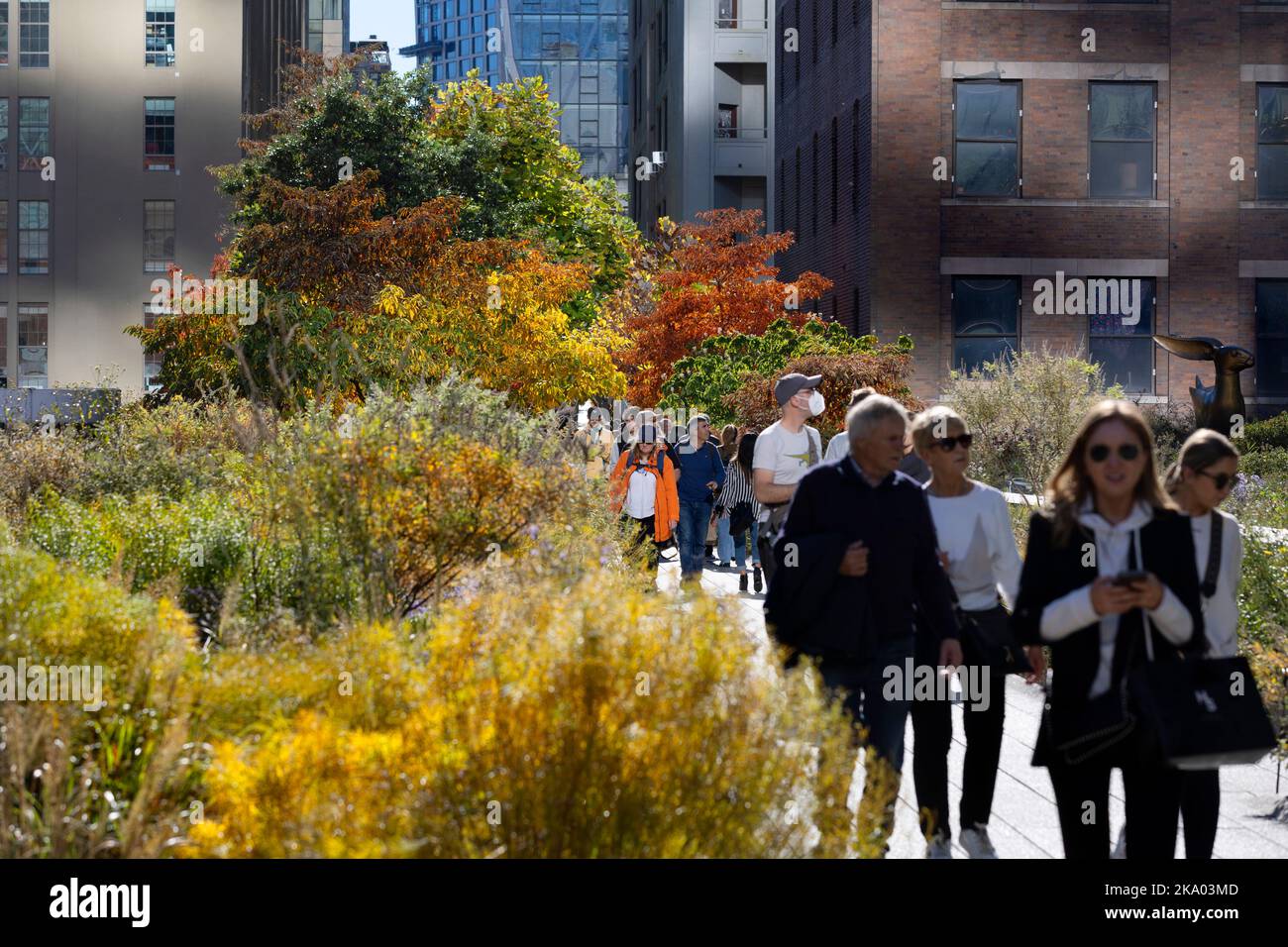 The High Line, Chelsea, Manhattan Stock Photo - Alamy