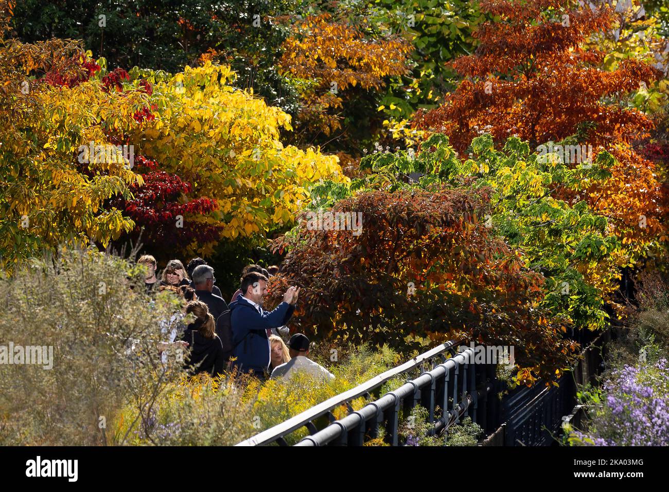 The High Line, Chelsea, Manhattan Stock Photo - Alamy