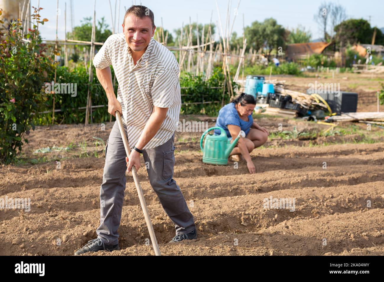 Men is leveling the beds ground with rake Stock Photo - Alamy