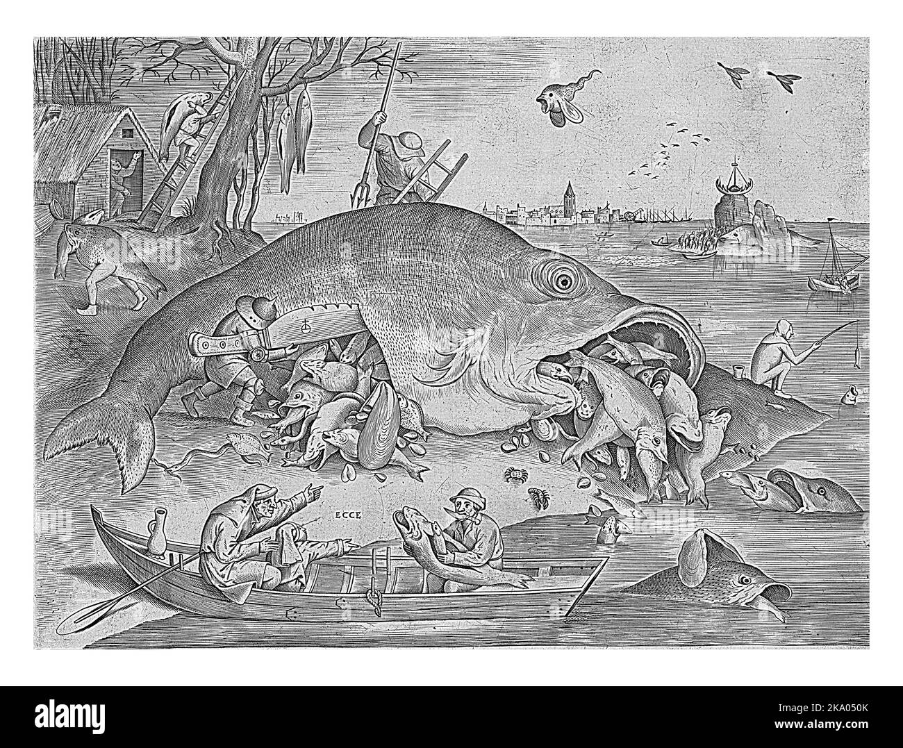 The big fish eat the small fish. A large fish caught on the bank is cut ...