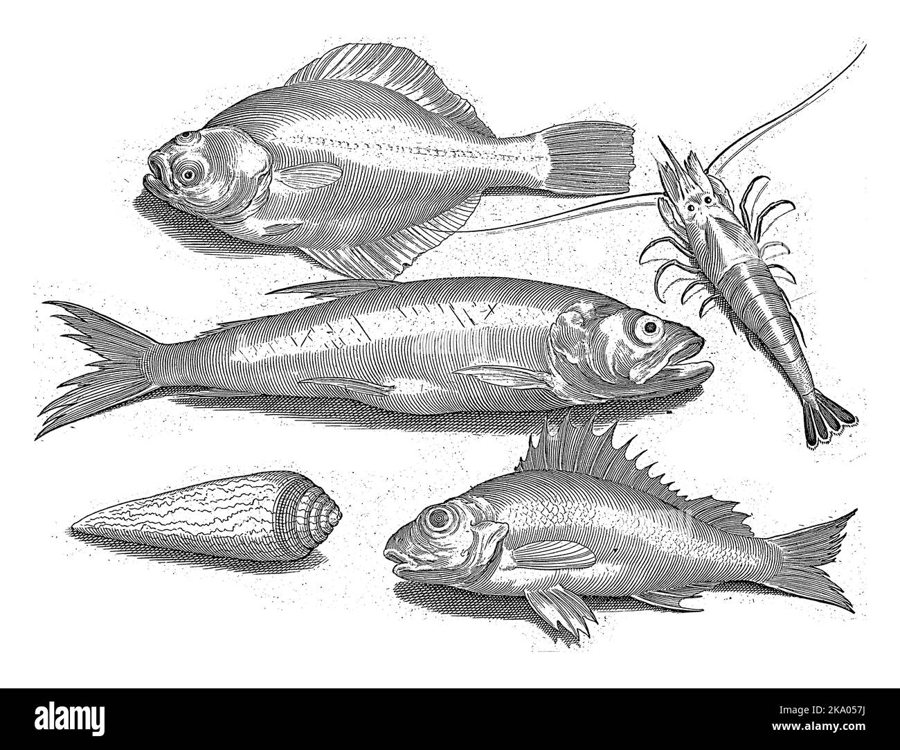 Smelt and pos hi-res stock photography and images - Alamy