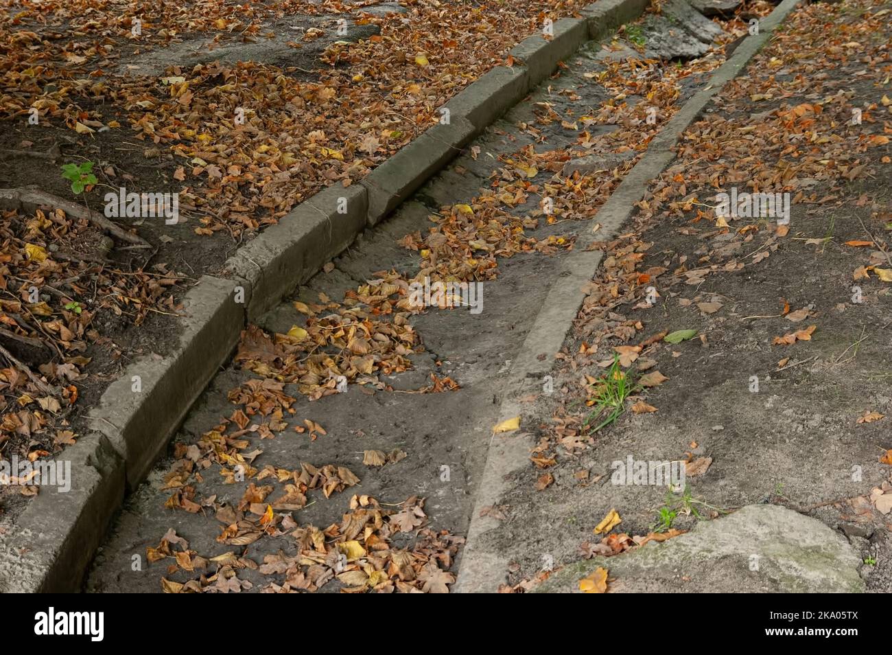an old broken concrete water trough filled with fallen autumn leaves ...