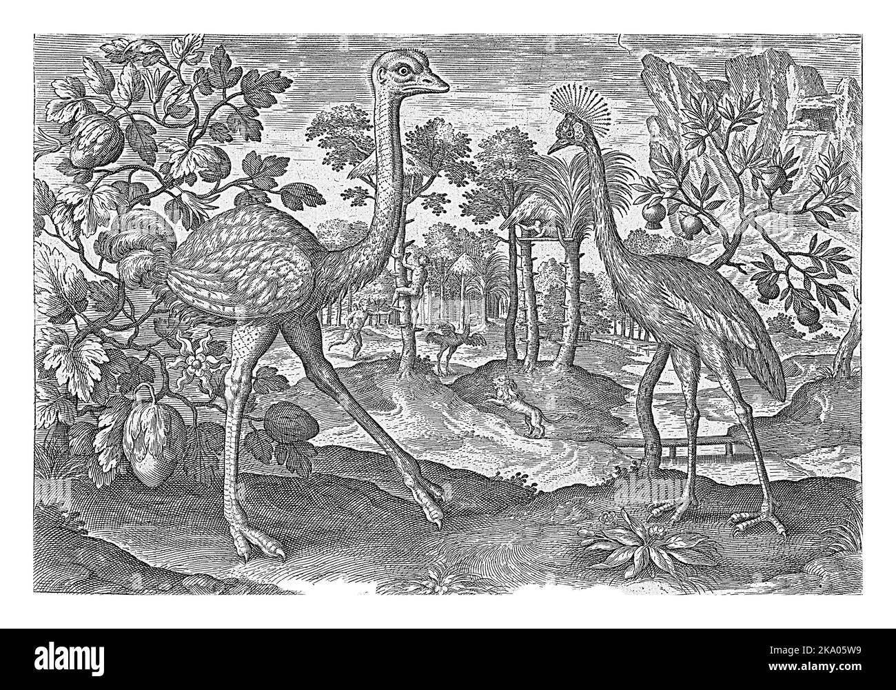 An ostrich and a crowned crane in a landscape. In the background, an ...