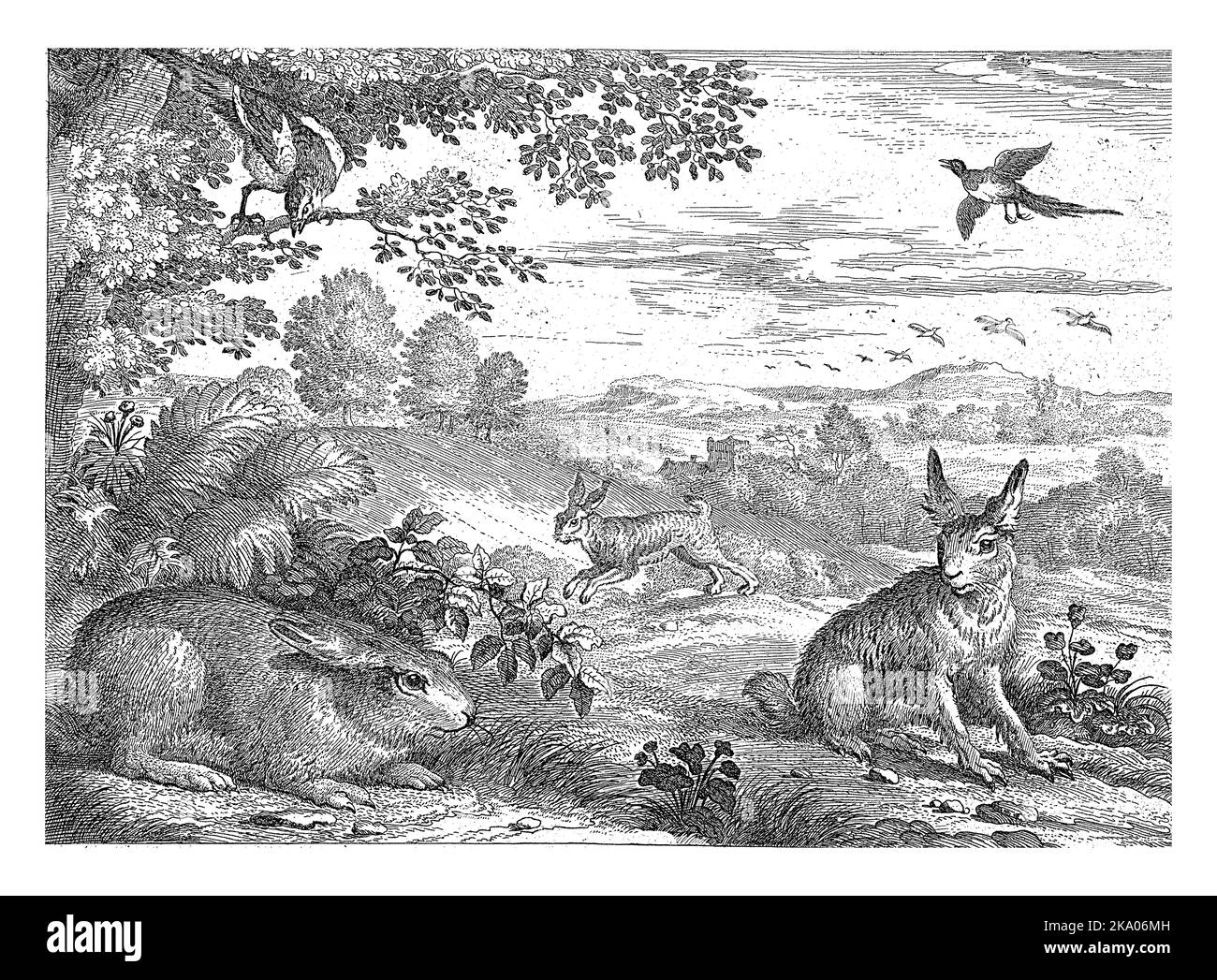 Three hare Cut Out Stock Images & Pictures - Alamy