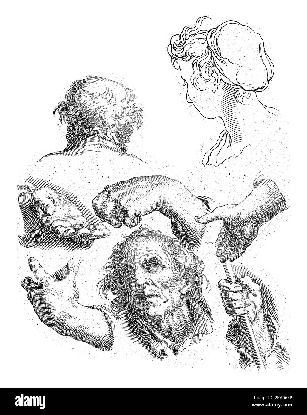 Study of three heads and five hands in different gestures. Copy after a ...