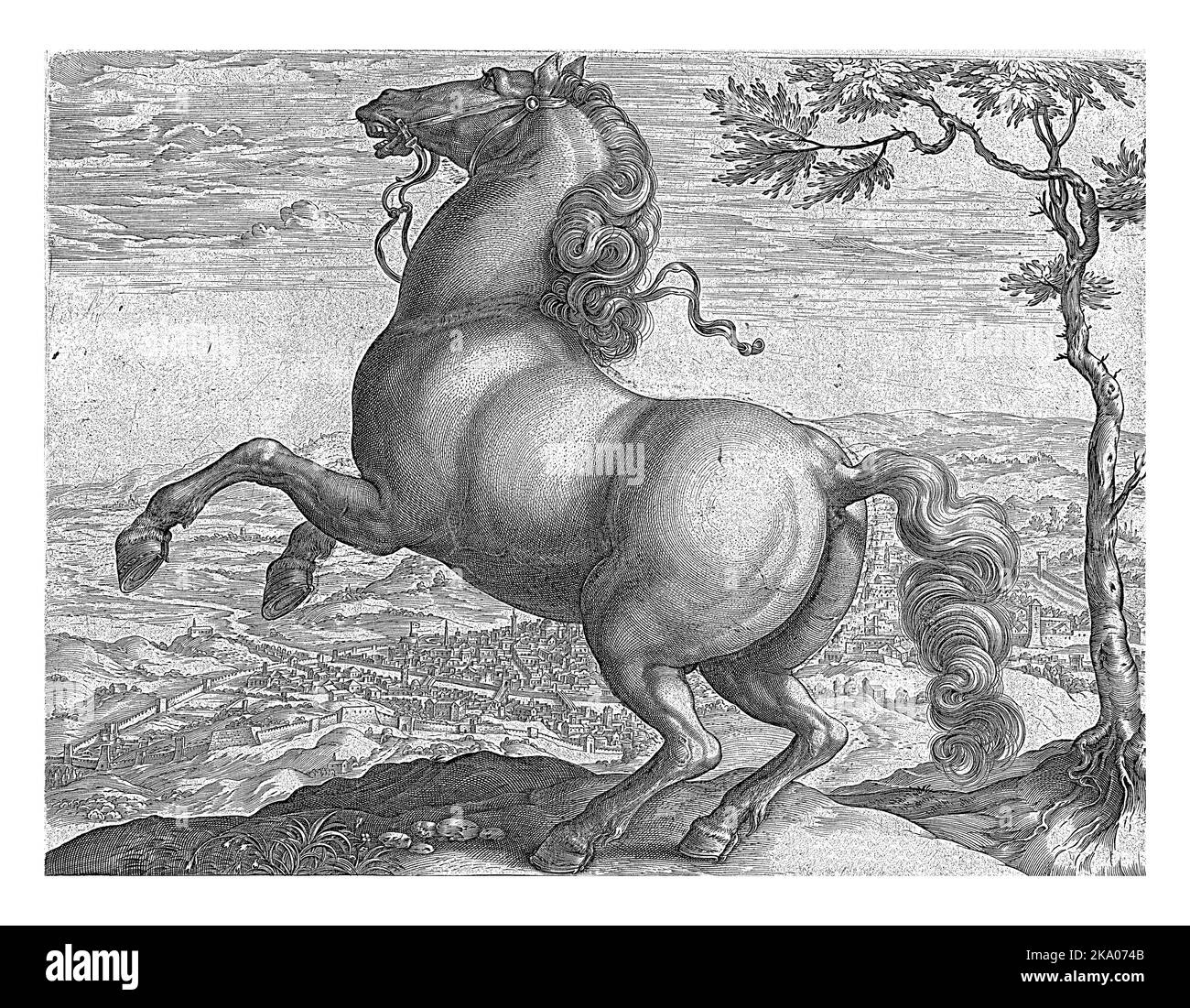 Rearing horse. In the background a walled city in a valley. Four lines ...