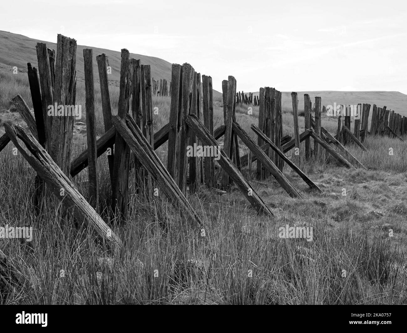 bleak Pennine landscape - weathered upland timber snow-break sleeper ...