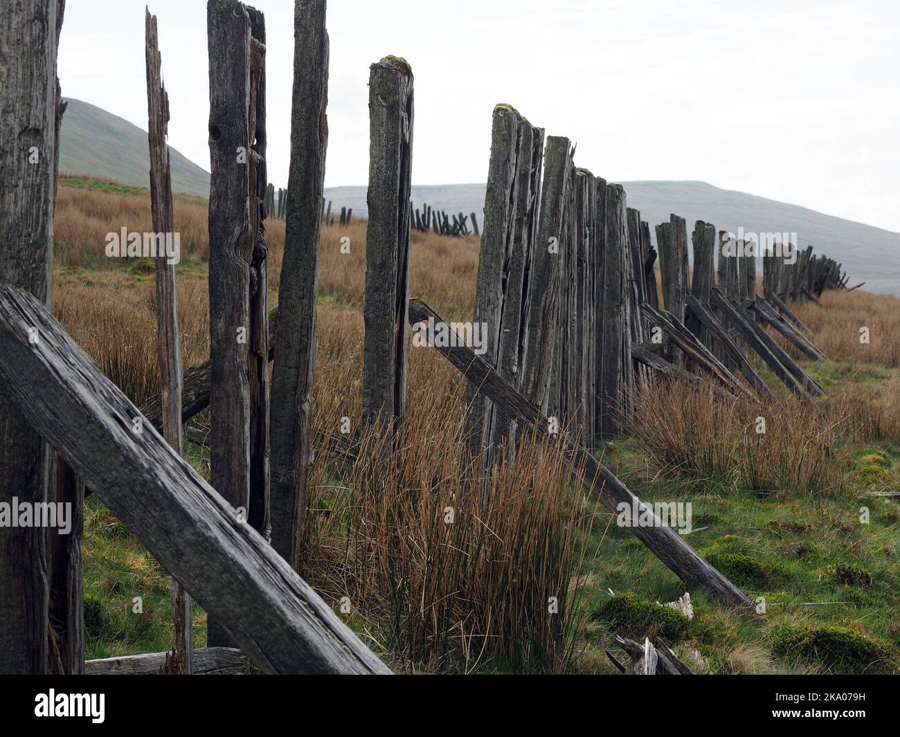 bleak Pennine landscape - weathered upland timber snow-break sleeper ...