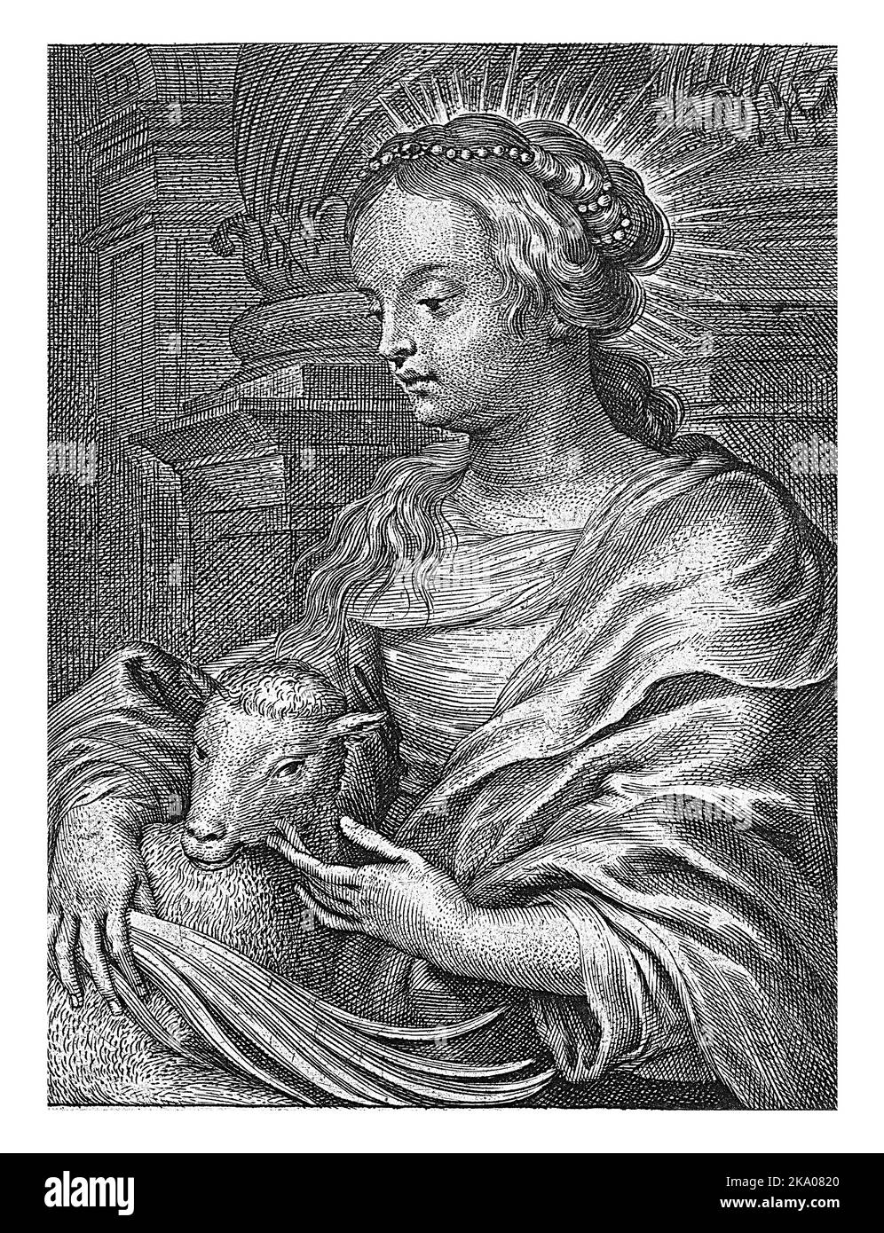 Lamb etching hi-res stock photography and images - Alamy