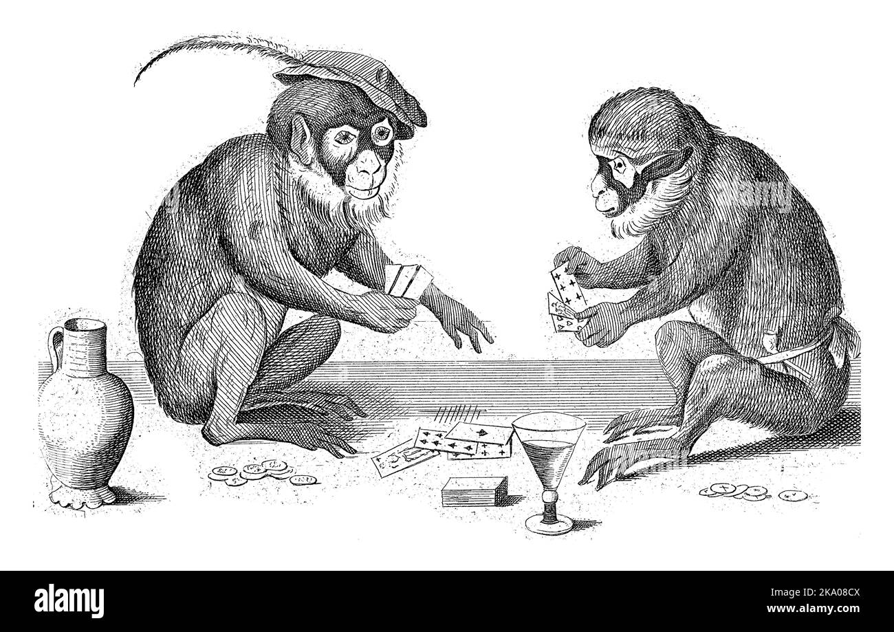 Two monkeys sit on the floor and play a card game. The one on the left ...