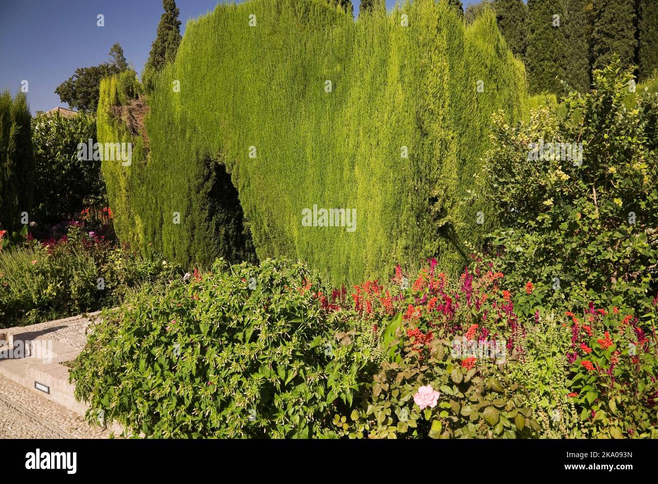 Lush vegetation trees shrubs red hi-res stock photography and images ...