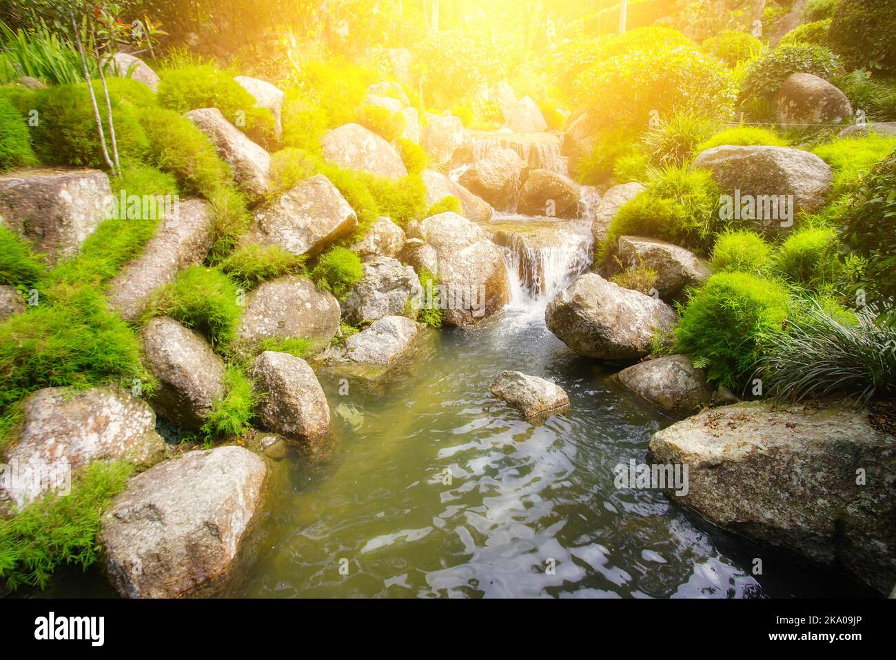 Landscape of small waterfall in the jungle with green mossy Stock Photo ...