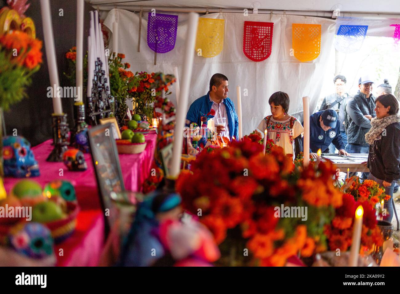 Calaca mexicana hi-res stock photography and images - Alamy