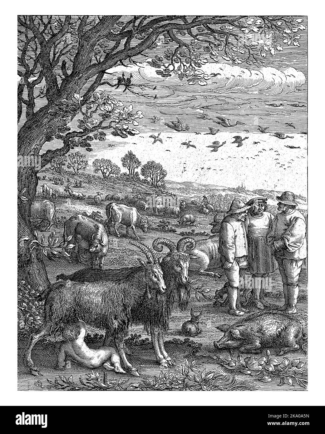 Left two goats Black and White Stock Photos & Images - Alamy