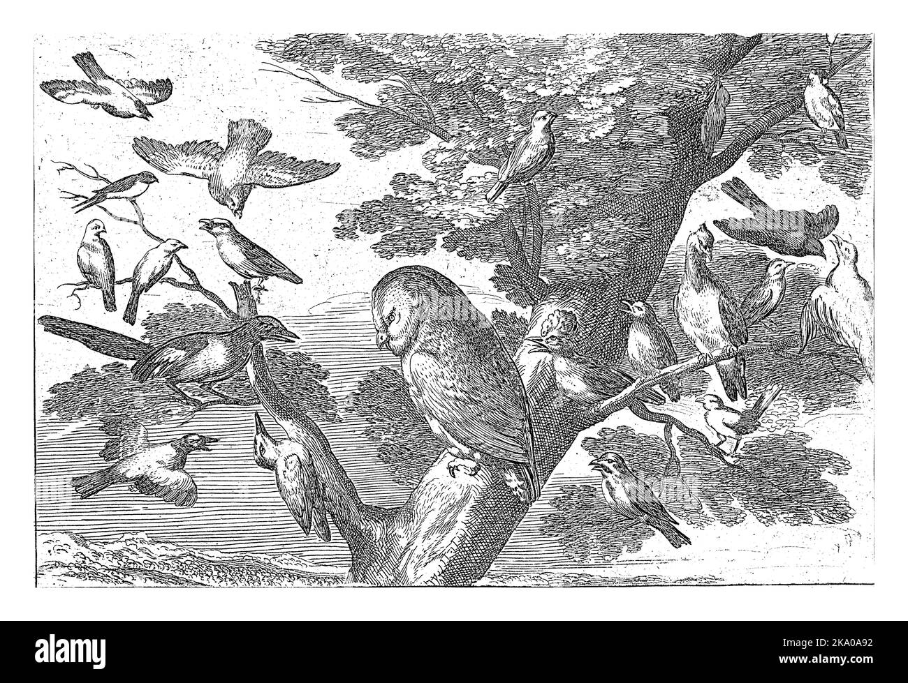 Owl in a tree art Cut Out Stock Images & Pictures - Alamy