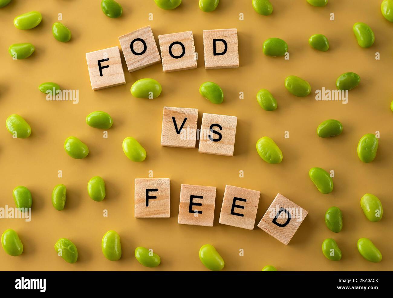 Food vs feed - Organic fresh soybeans. Glycine max Stock Photo - Alamy
