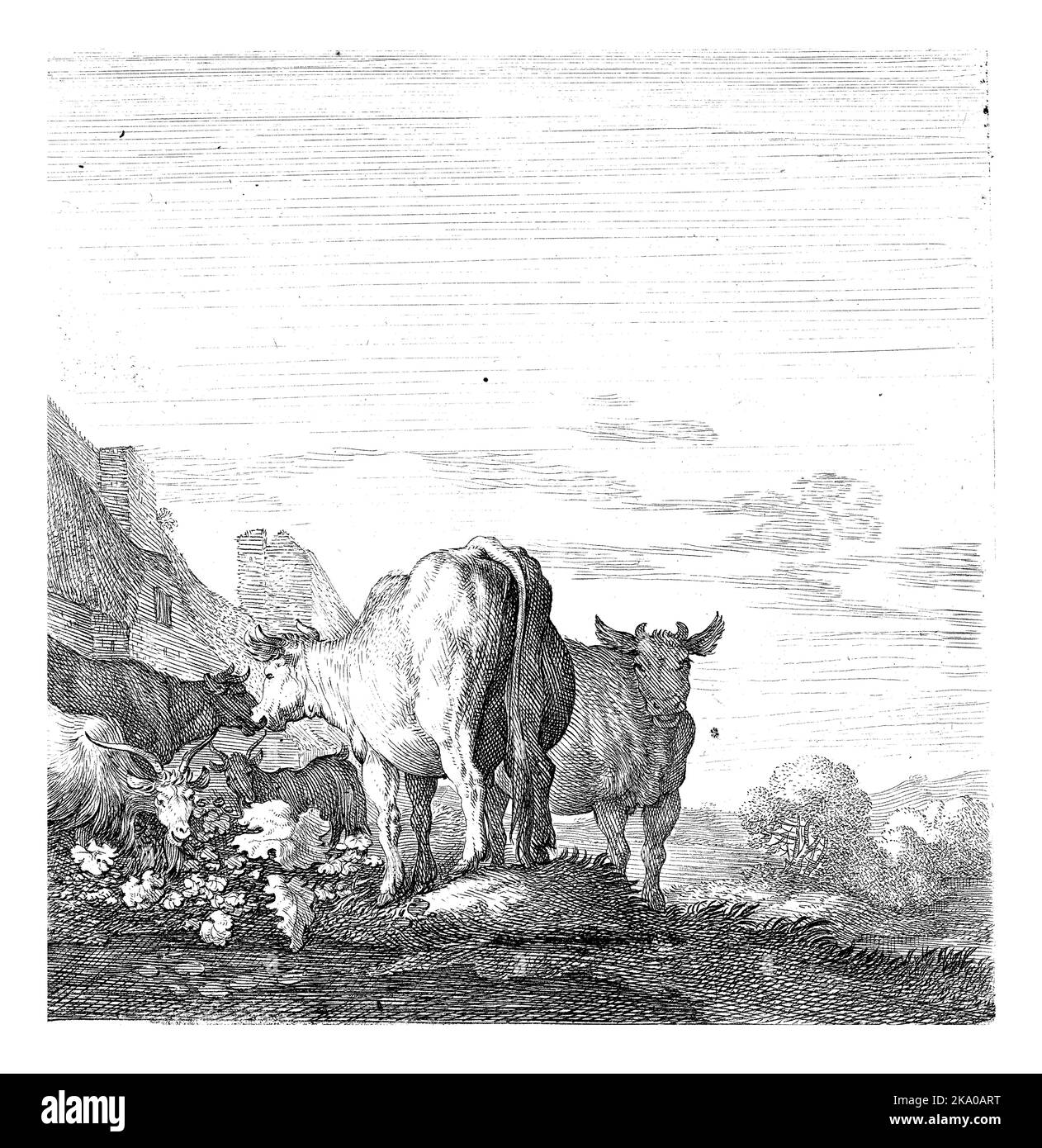 Cows and Goats in a Landscape with Houses Stock Photo - Alamy