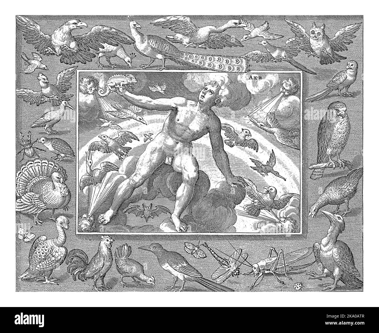 Flying element hi-res stock photography and images - Alamy