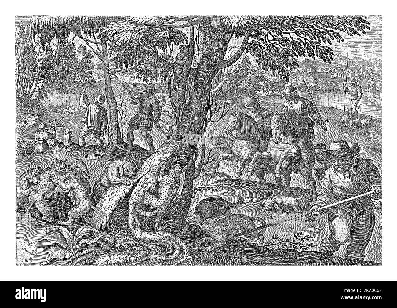 Hunters catch feral cats by knocking them out of trees with a long ...