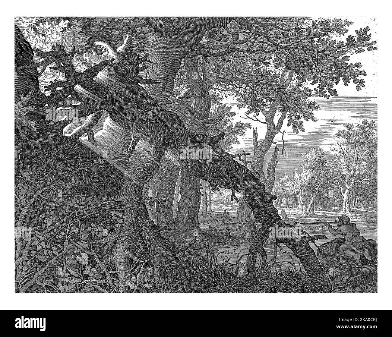 Trees with large roots in the foreground. On the right a hunter ...