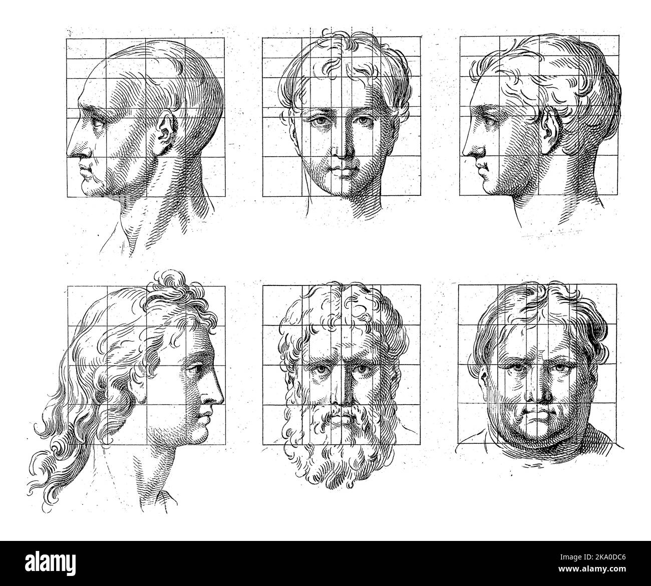 Proportion studies Black and White Stock Photos & Images - Alamy