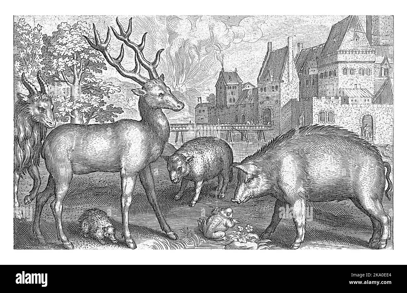 Deer, Hedgehog, Sheep, Frog and Pig, Nicolaes de Bruyn, 1594, vintage ...