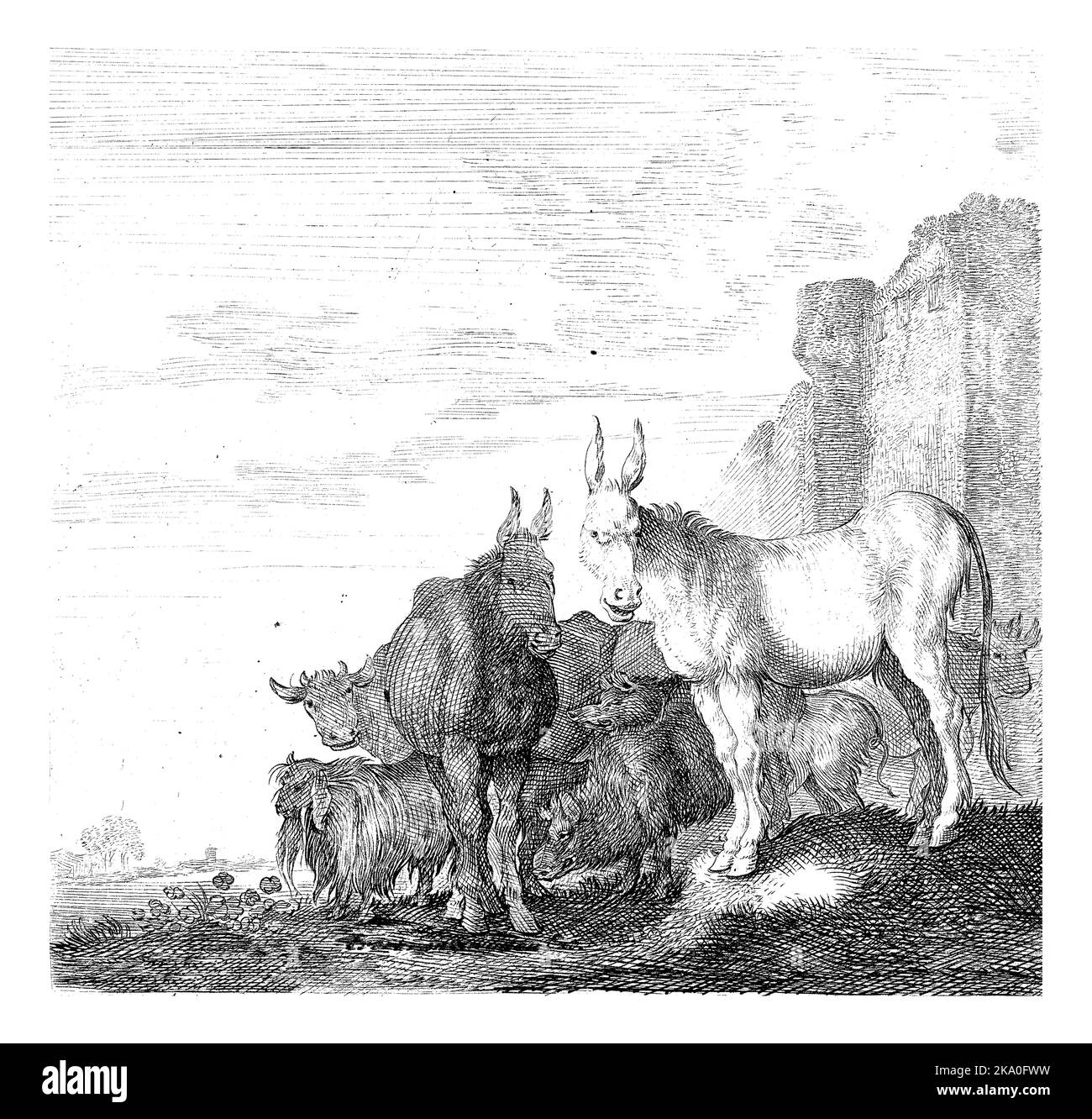 Two donkeys are standing by a high (castle) wall. Behind the donkeys ...