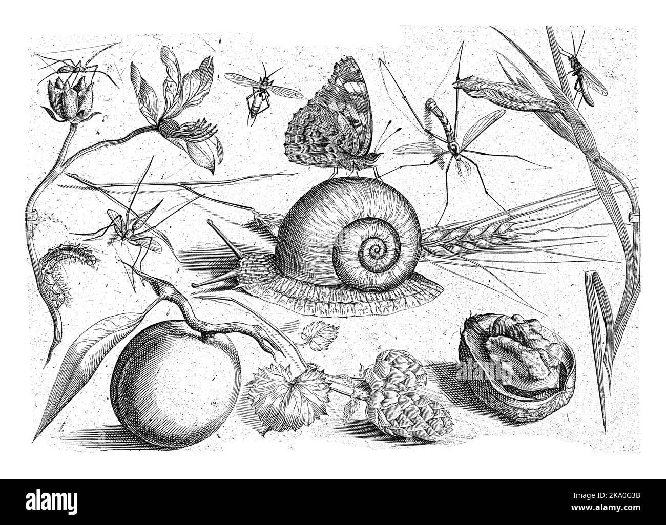 Print from a series of 48 prints, divided into four separate parts of ...