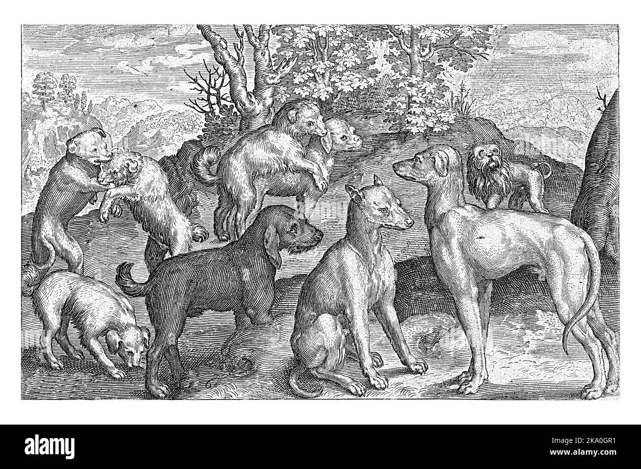 Nine Dogs, Nicolaes de Bruyn, 1594, vintage engraved Stock Photo - Alamy