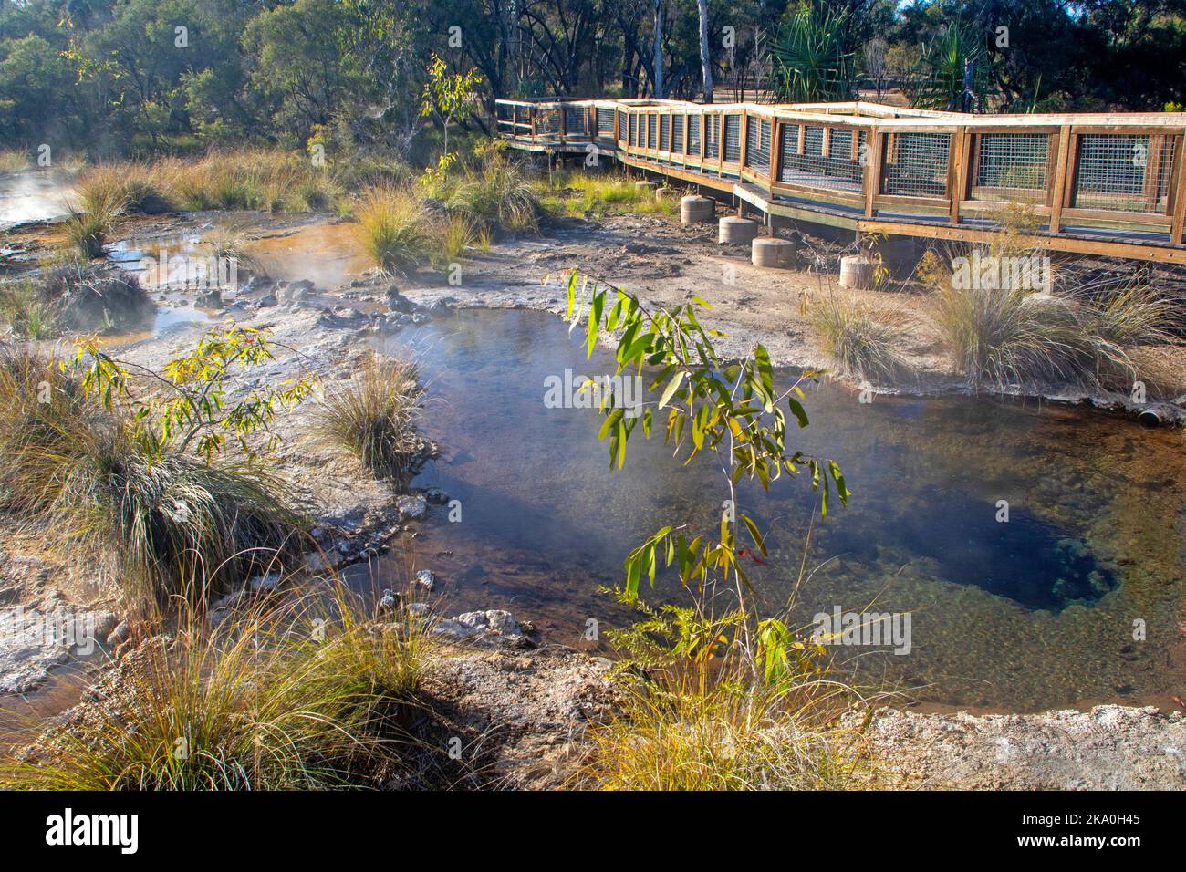 Talaroo hot springs hi-res stock photography and images - Alamy