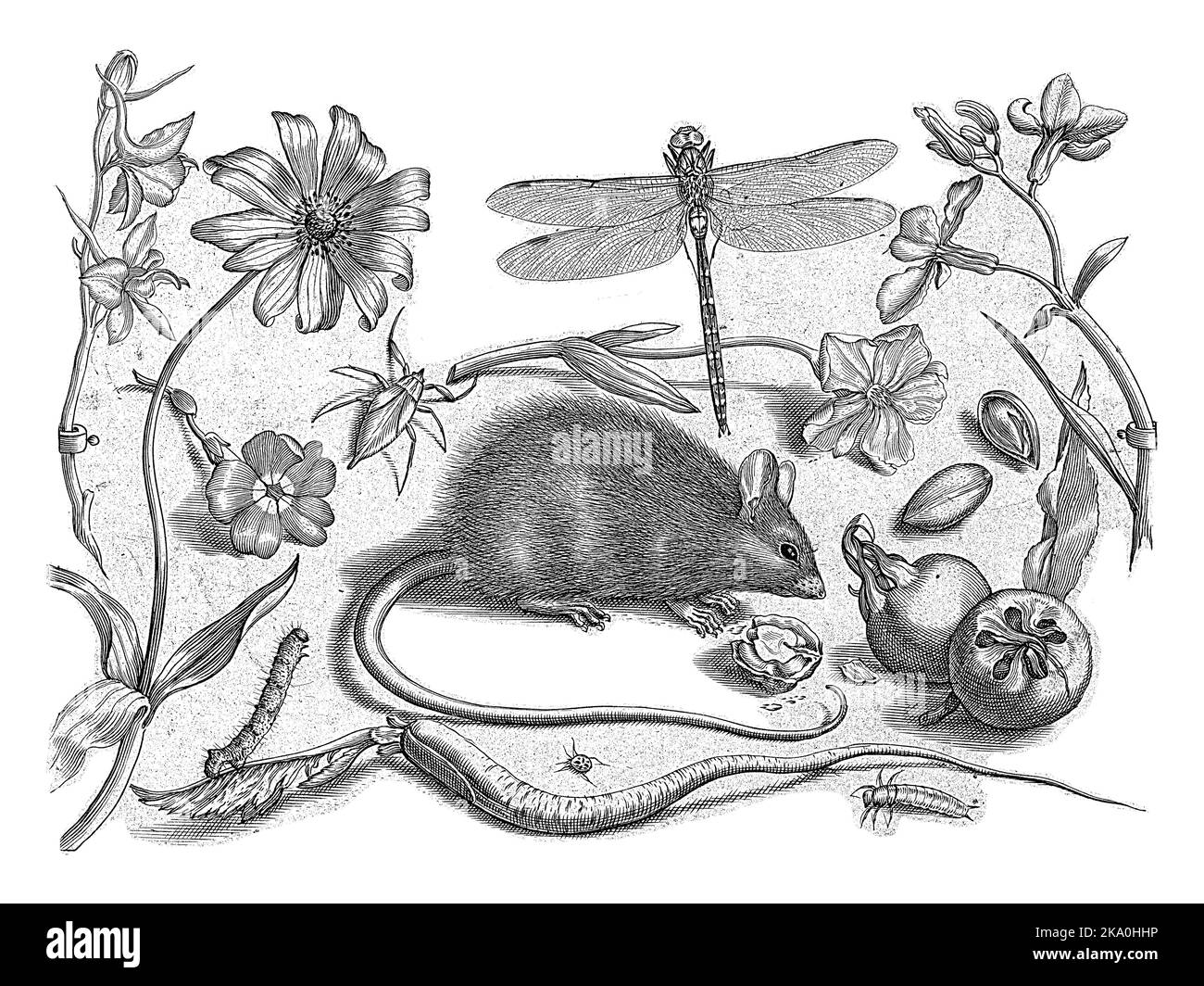 Print from a series of 48 prints, divided into four separate parts of ...