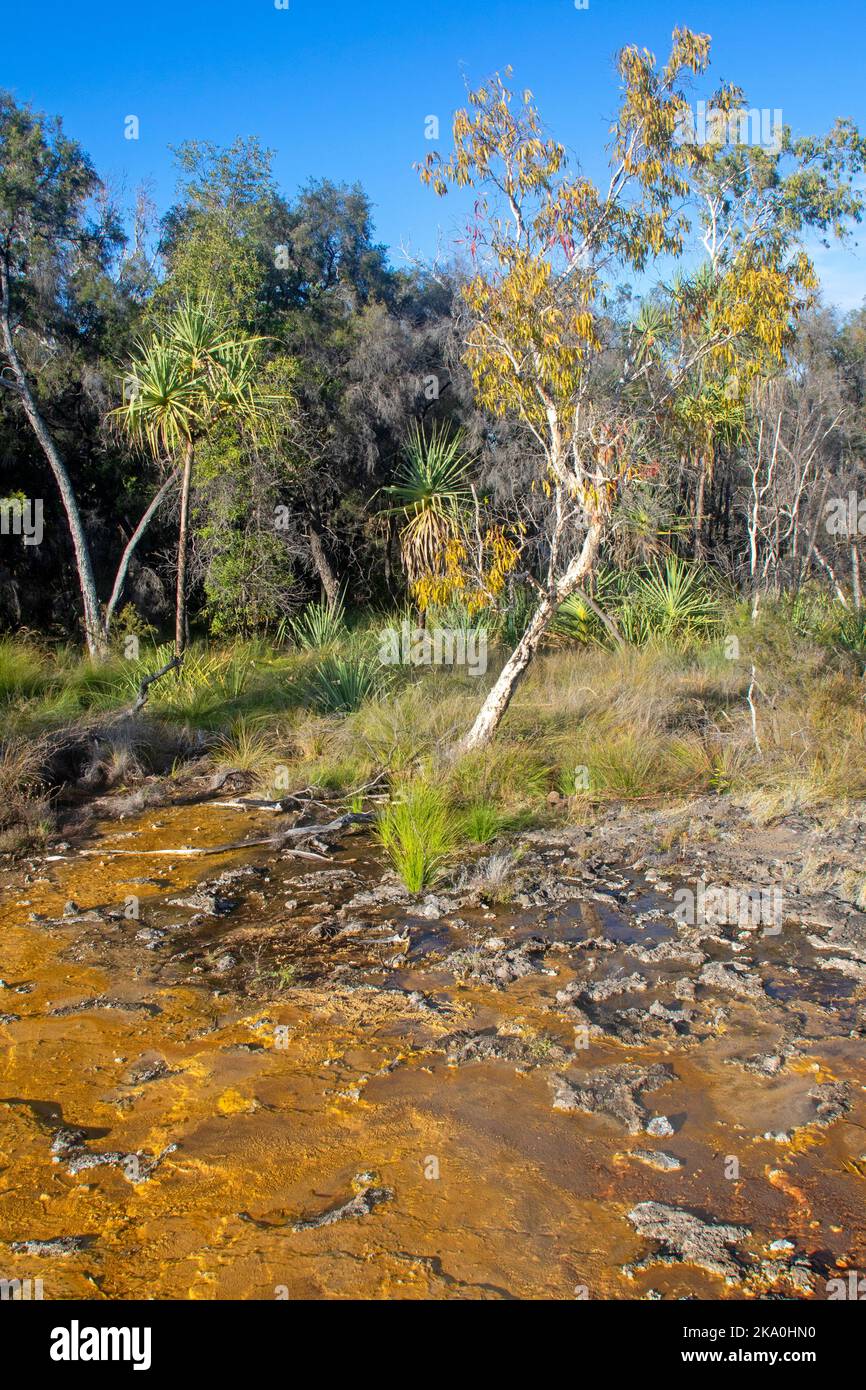 Talaroo hot springs hi-res stock photography and images - Alamy