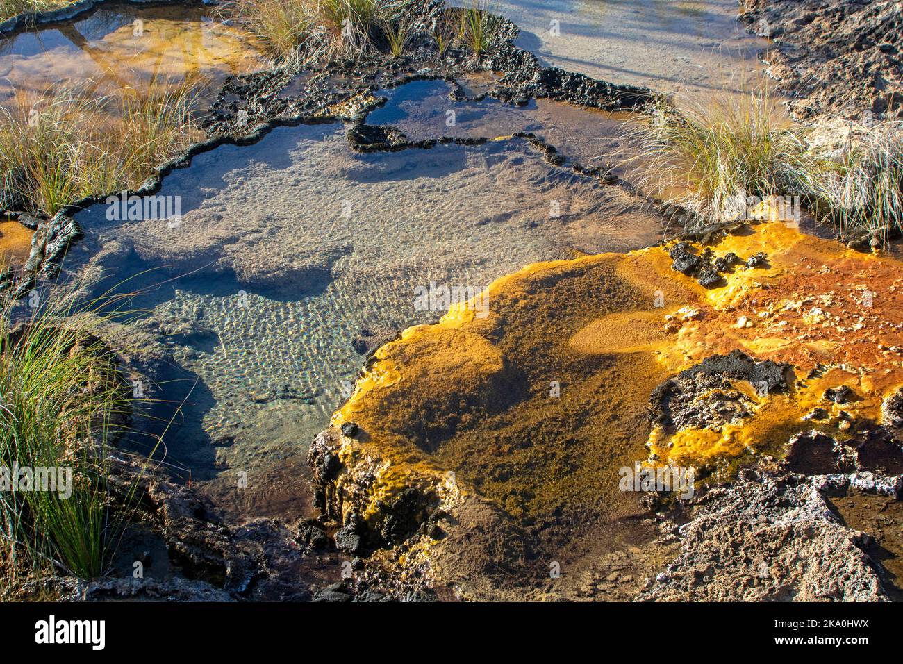 Talaroo hot springs hi-res stock photography and images - Alamy