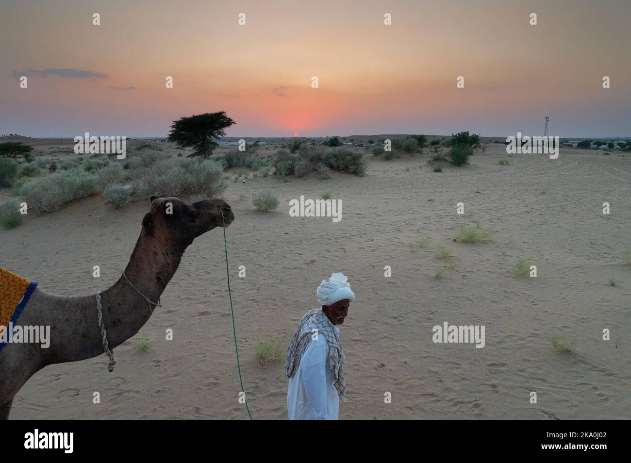 Thar desert, Rajasthan, India - 15th October 2019 : Old cameleer taking ...