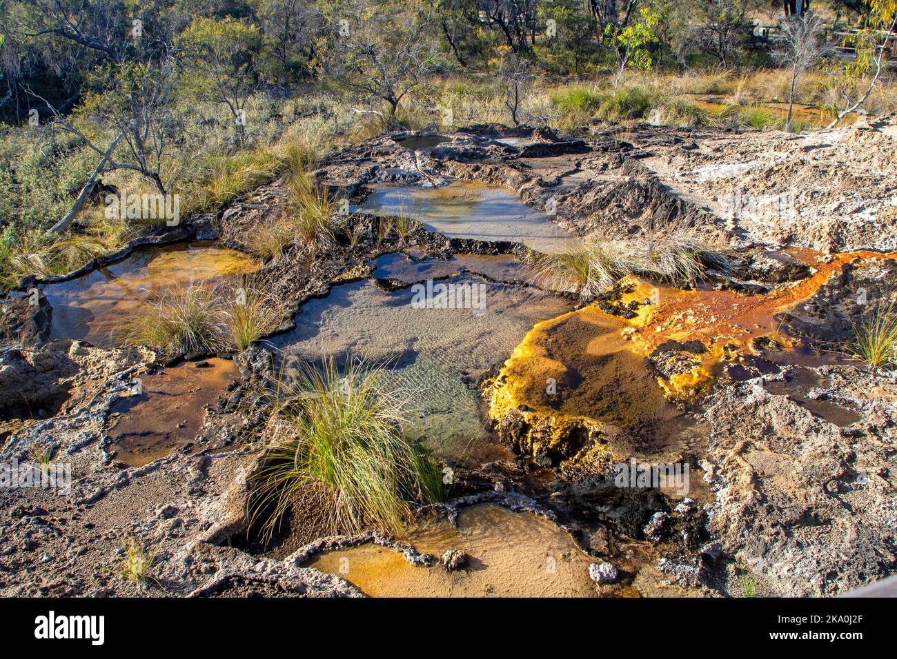 Talaroo hot springs hi-res stock photography and images - Alamy