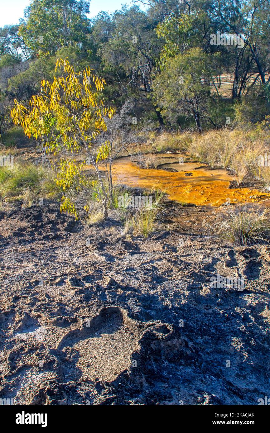 Talaroo hot springs hi-res stock photography and images - Alamy