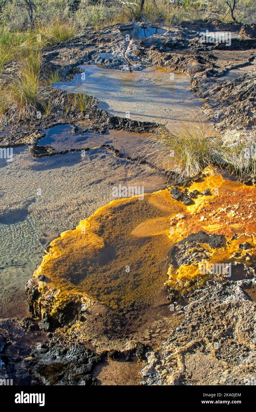 Talaroo hot springs hi-res stock photography and images - Alamy