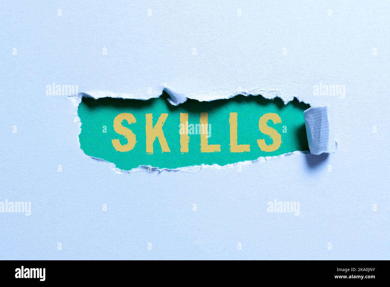 Conceptual caption Skills. Concept meaning ability to carry task with driven result within given ...