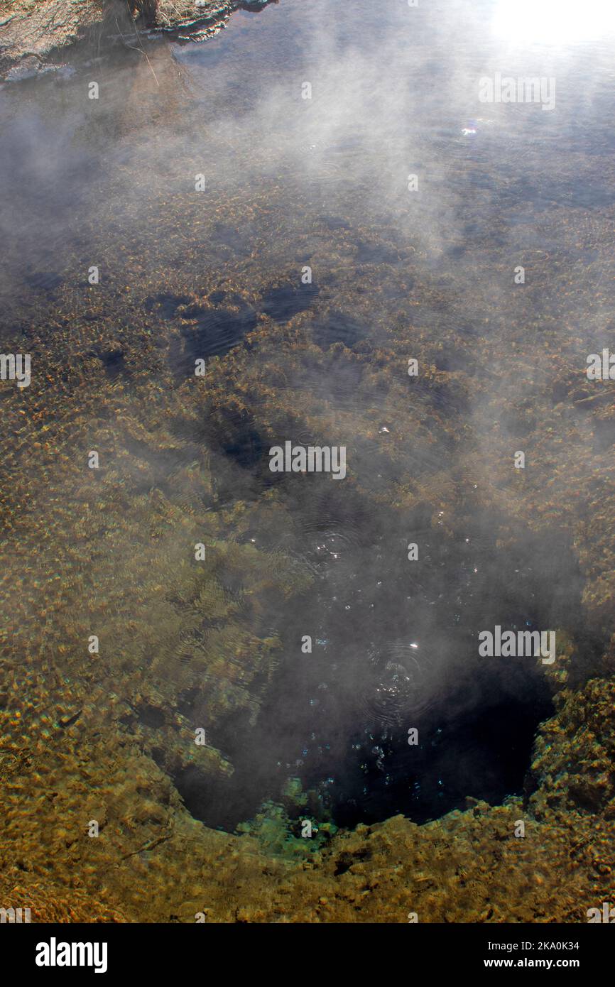 Water bubbling from the earth at Talaroo Hot Springs Stock Photo - Alamy