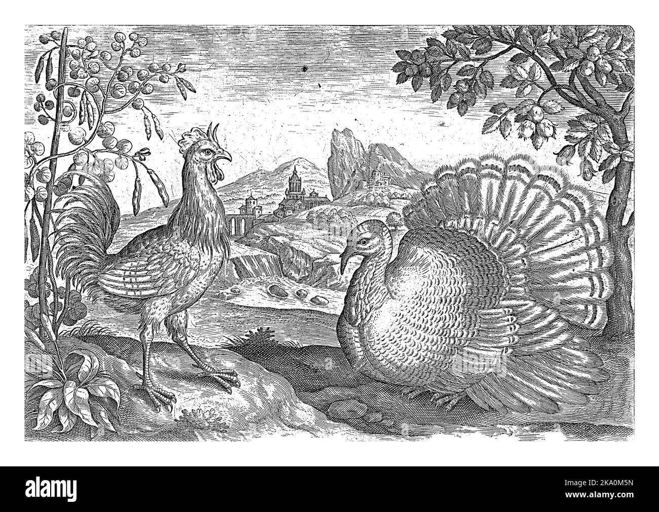Turkey antique print Cut Out Stock Images & Pictures - Alamy