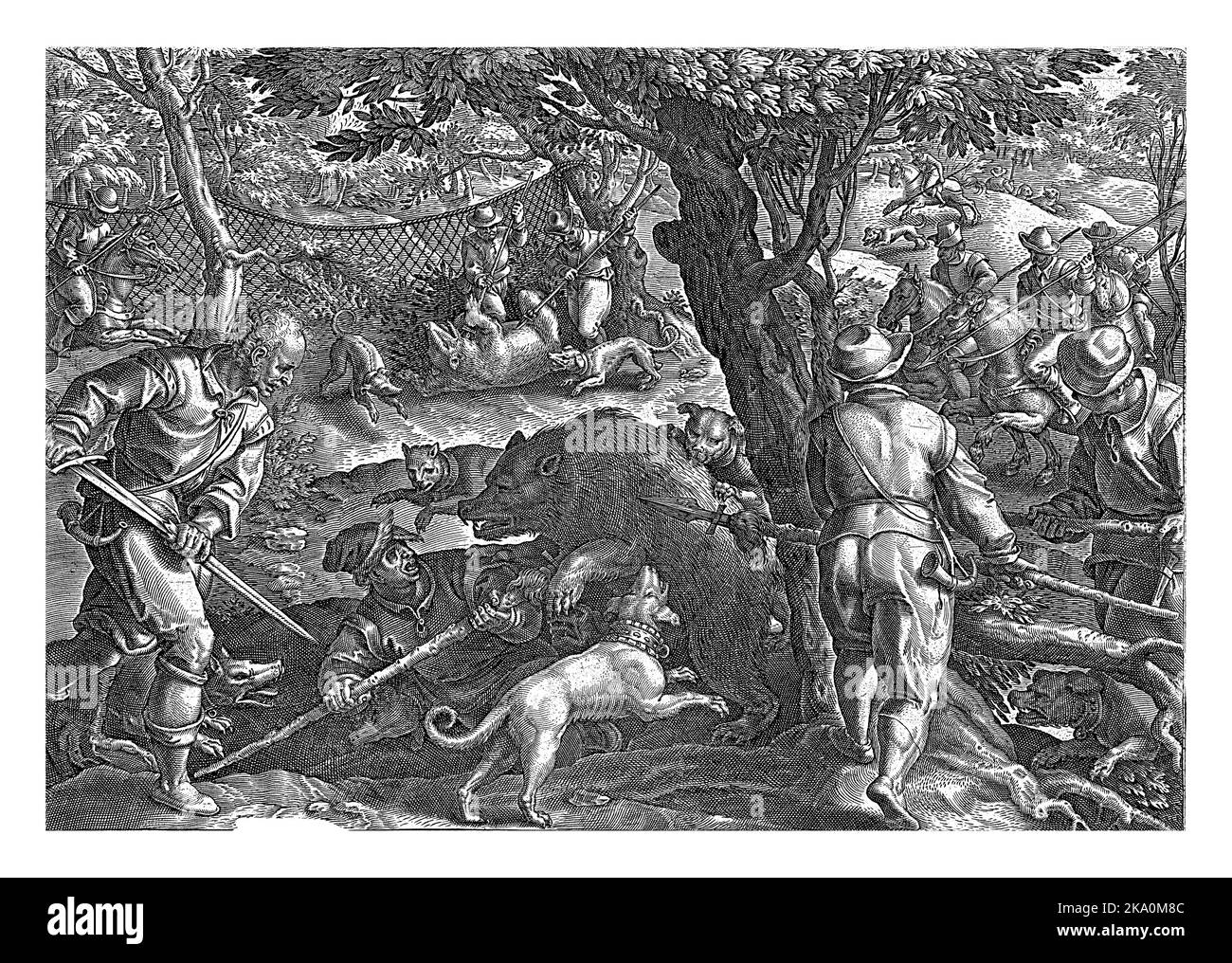 Bear vector lines Cut Out Stock Images & Pictures - Alamy