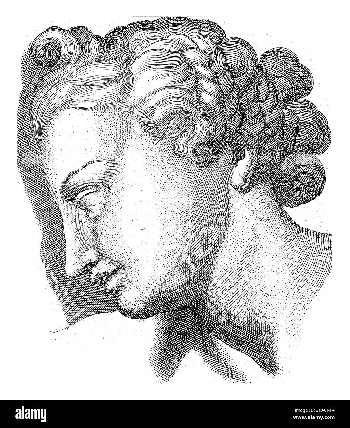 Study art Cut Out Stock Images & Pictures - Alamy