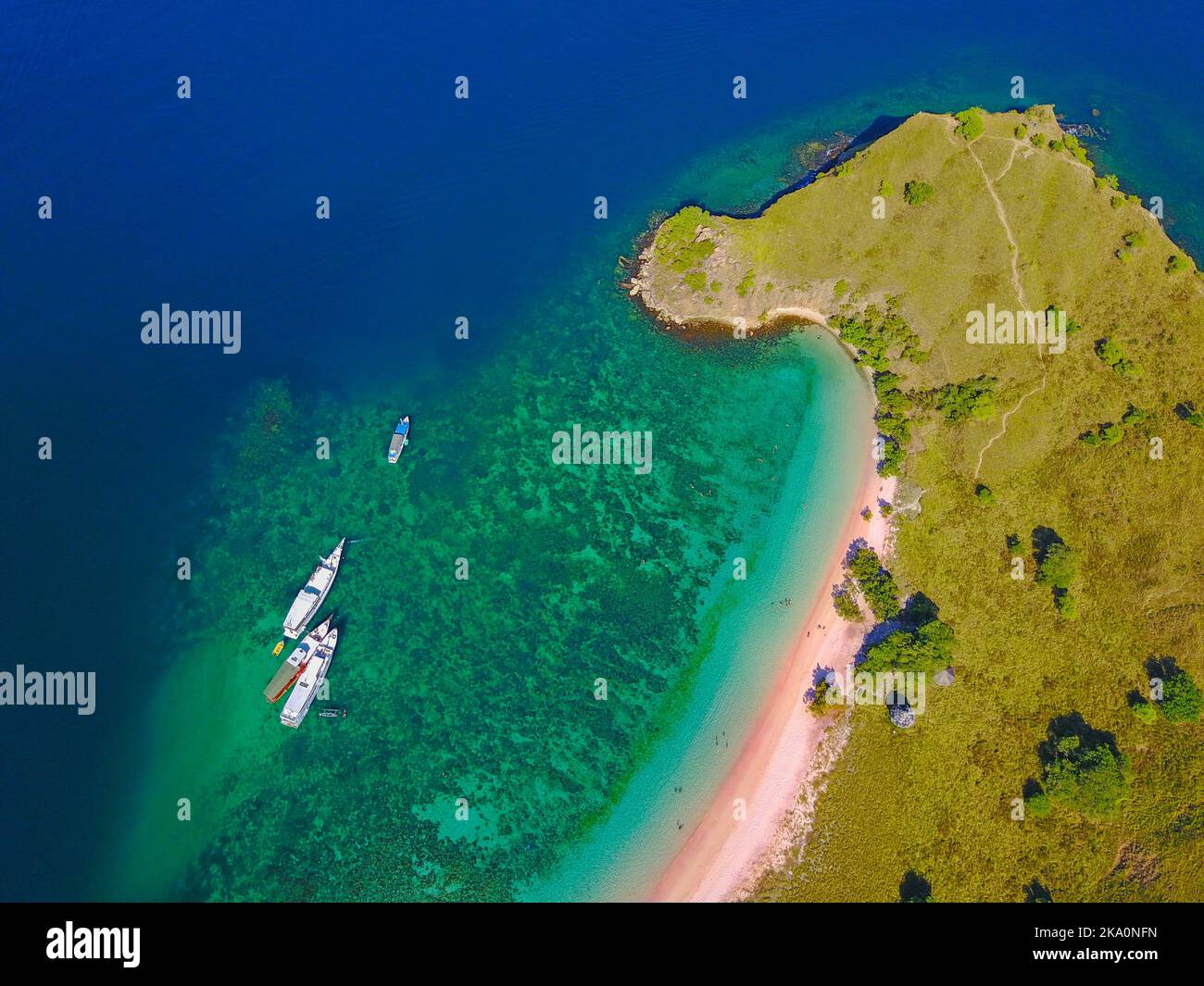 Aerial view of beautiful pink beach at Flores Island Stock Photo - Alamy