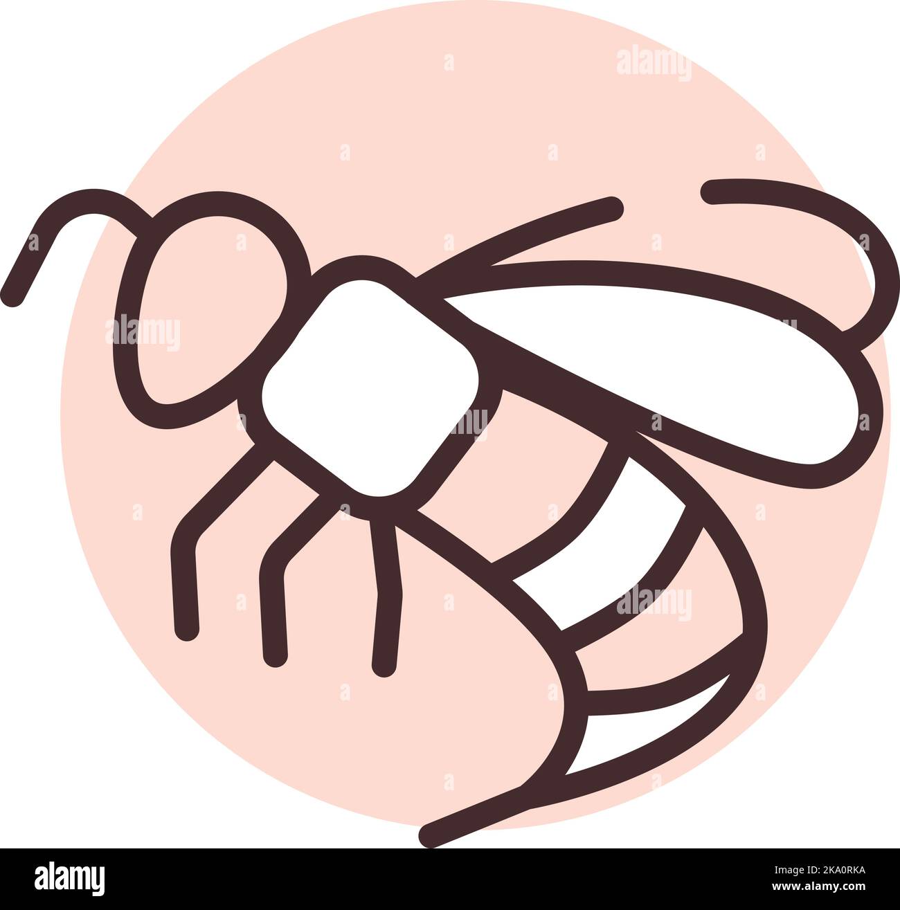 Hornet icon vector vectors hi-res stock photography and images - Alamy