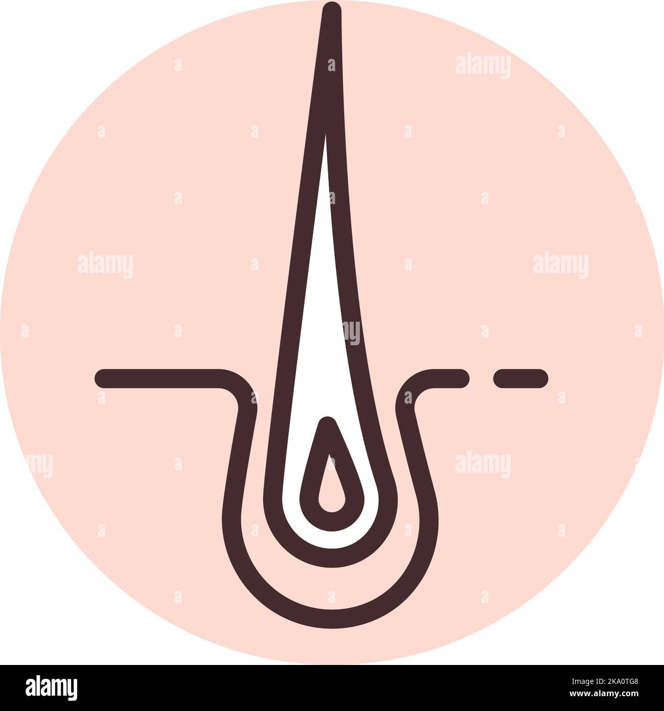 Beauty hair, illustration or icon, vector on white background Stock ...