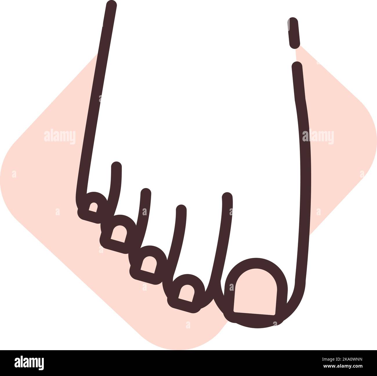 Body treatment toe nails, illustration or icon, vector on white ...