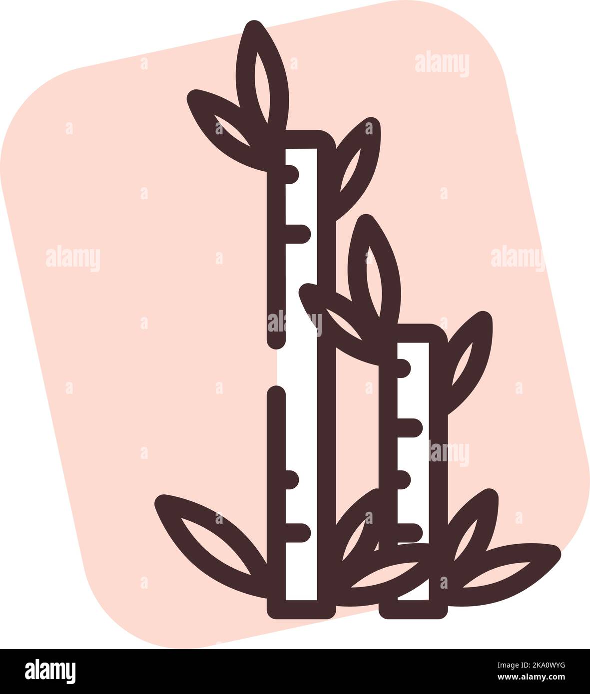 Body treatment bamboo spa, illustration or icon, vector on white ...